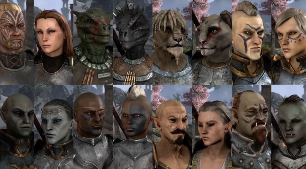 Character Creation And Customization Options